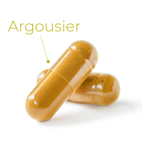 Argousier - Elsanta Santé