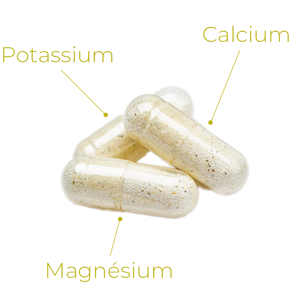 Omnibalance - Elsanta Santé